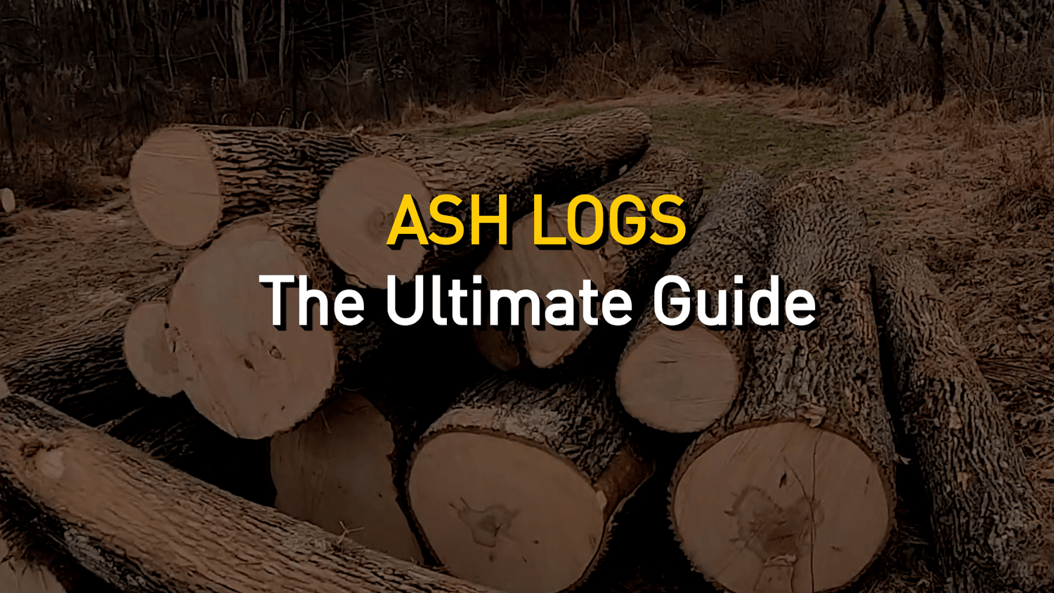 The Ultimate Guide to Ash Logs: Characteristics, Benefits, and Best ...