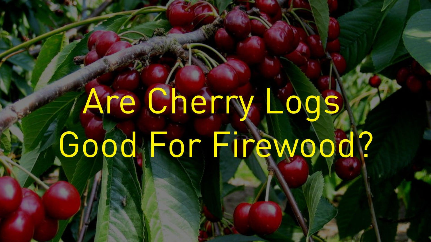 Cherry Logs & Firewood: All You Need to Know About Cherry Wood – Lekto ...