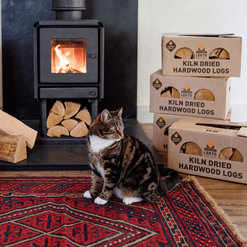 Kiln-Dried Birch Wood Logs - Delivered in the UK | Lekto